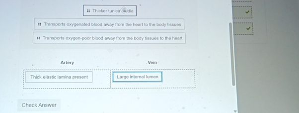 Solved Transports oxygenated blood away from the heart to | Chegg.com