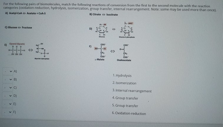 Solved For the following pairs of biomolecules, match the | Chegg.com