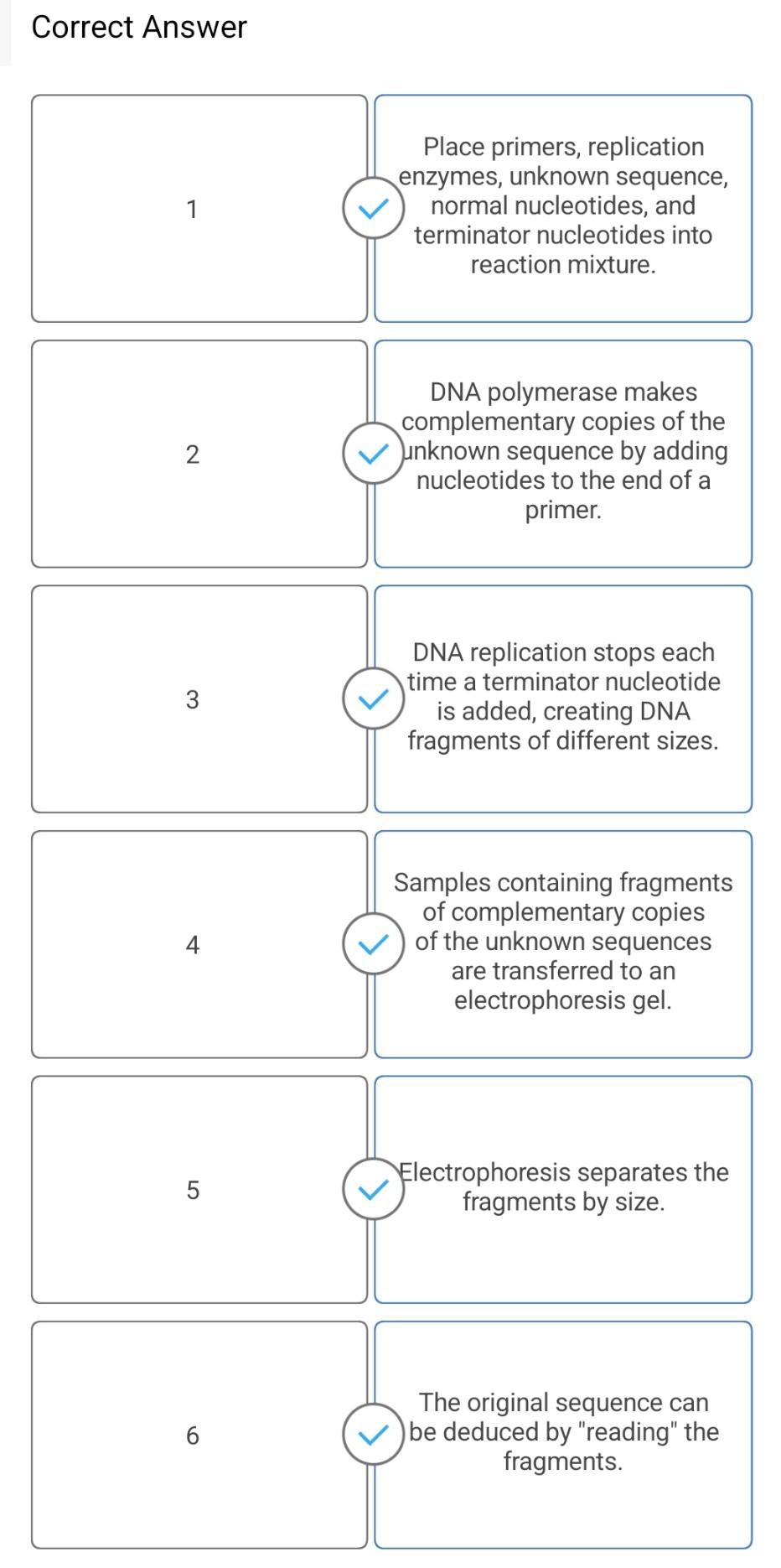 Solved Order the following steps of DNA sequencing, | Chegg.com