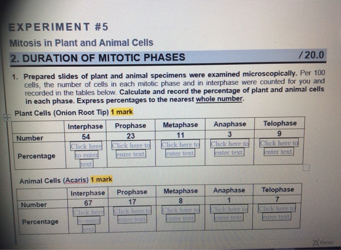 Solved EXPERIMENT #5 Mitosis in plant and Animal Cells 2. | Chegg.com