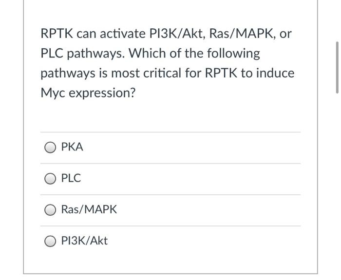 Solved RPTK can activate PI3K/Akt, Ras/MAPK, or PLC | Chegg.com