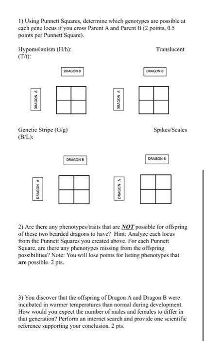 Solved 1) Using Punnett Squares, determine which genotypes | Chegg.com