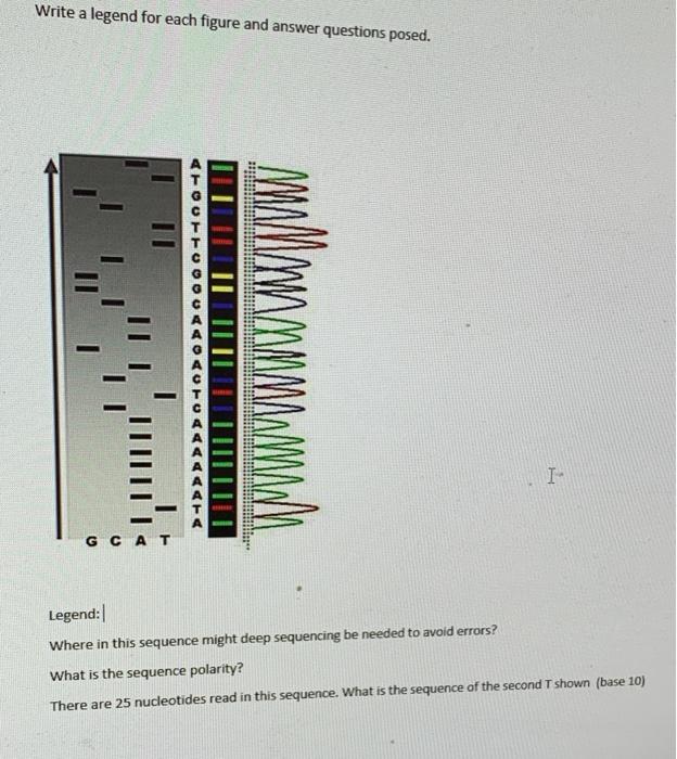 Solved Genetics help please. Please make a legend for this | Chegg.com
