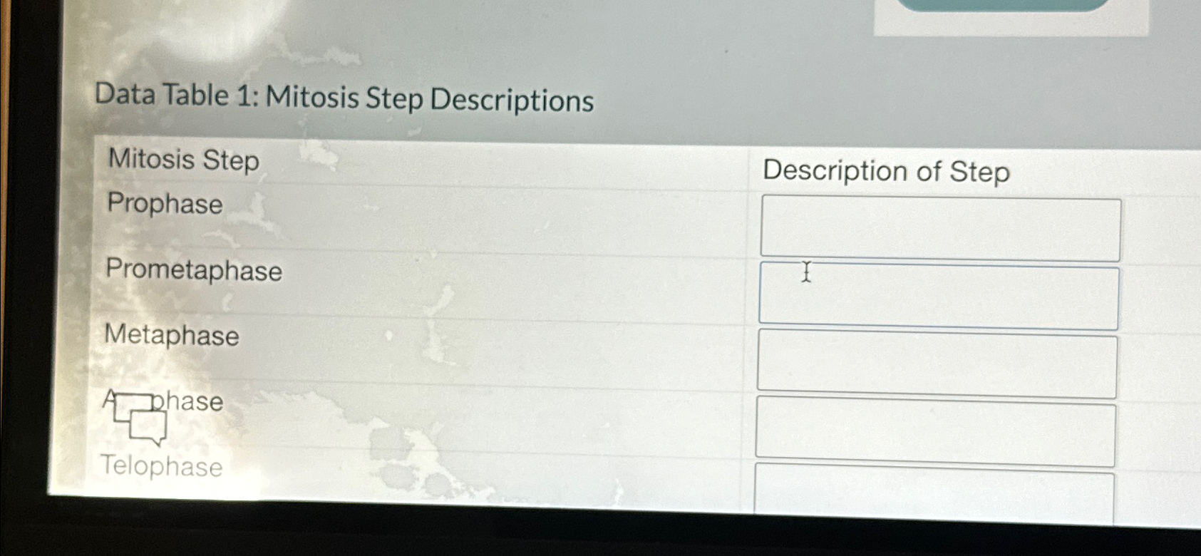 Solved Data Table 1: Mitosis Step | Chegg.com