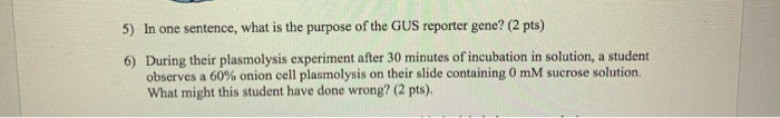 Solved 5) In one sentence, what is the purpose of the GUS | Chegg.com