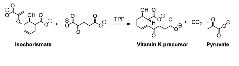 the enzyme that catalyzes this reaction requires TPP | Chegg.com