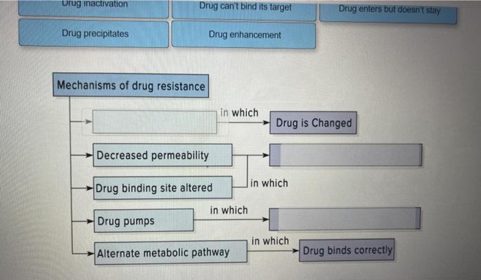Solved Move the terms into the correct empty boxes to | Chegg.com