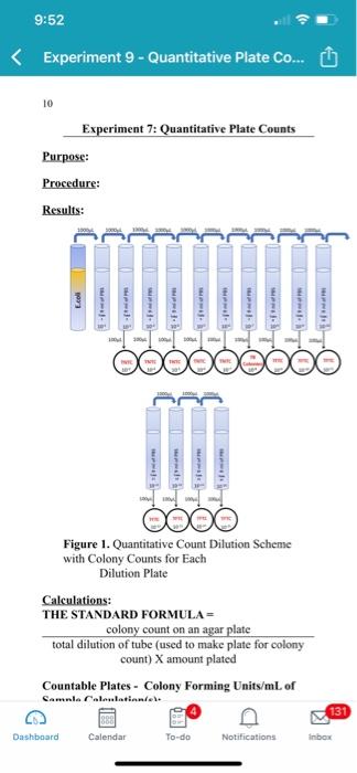 Experiment 7: Quantitative Plate Counts Purpose: | Chegg.com