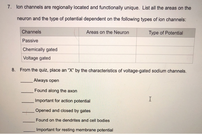 Solved 7. lon channels are regionally located and | Chegg.com