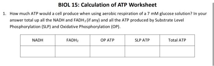 Solved BIOL 15: Calculation of ATP Worksheet 1. How much ATP | Chegg.com