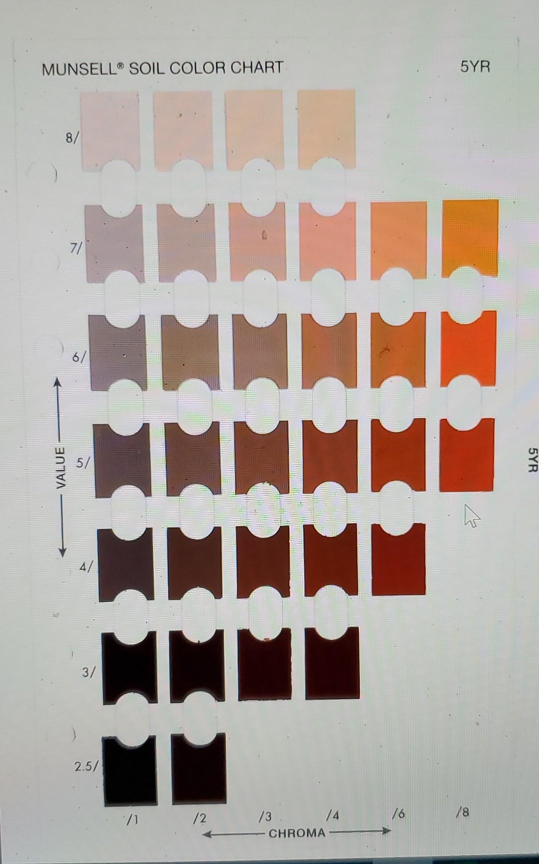 Munsell Color Chart 5yr