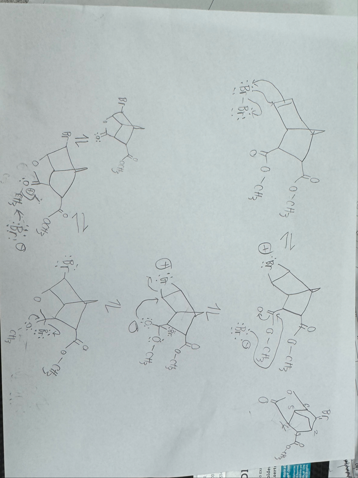 (Explain every step in this mechanism in detail and | Chegg.com