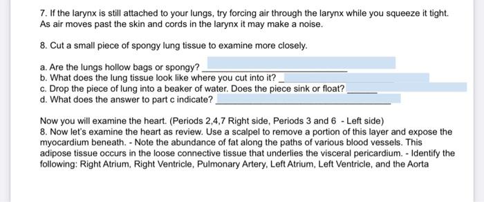LAB-Dissection of Sheep's Pluck Purpose: Today we | Chegg.com