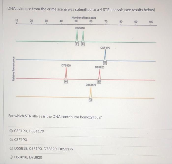 Solved DNA evidence from the crime scene was submitted to a | Chegg.com