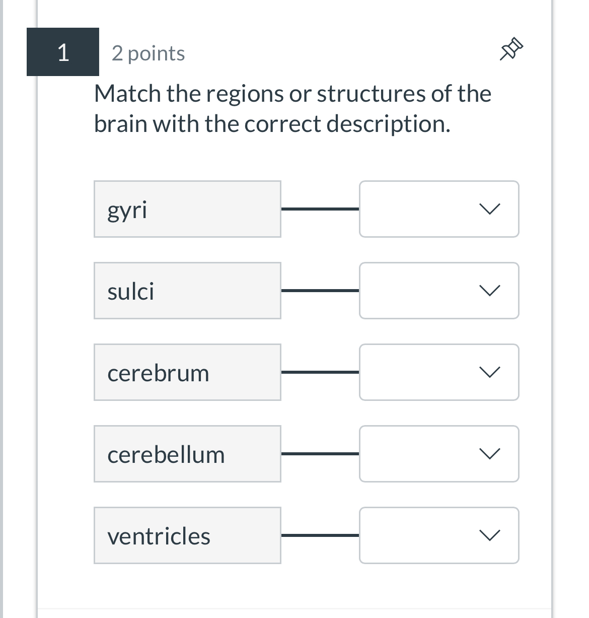 [Solved]: Match the regions or structures of the brain with