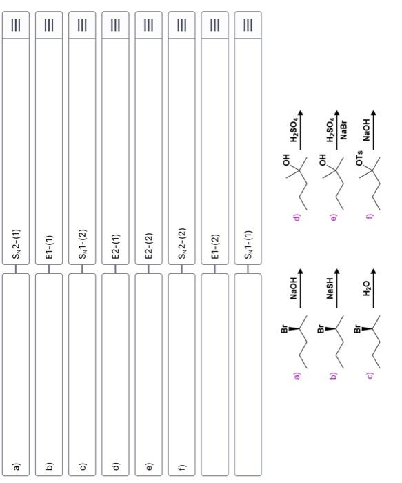 Solved For each example, indicate the main reaction path | Chegg.com