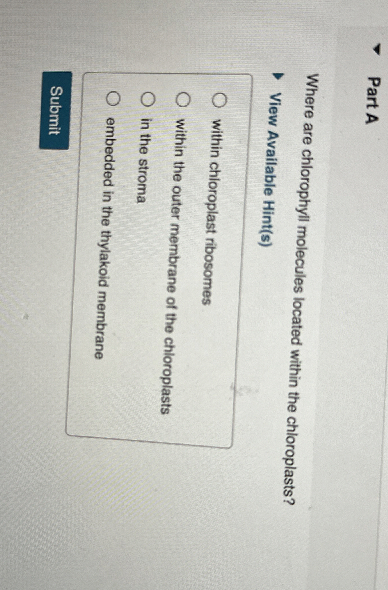 Solved Part AWhere are chlorophyll molecules located within | Chegg.com