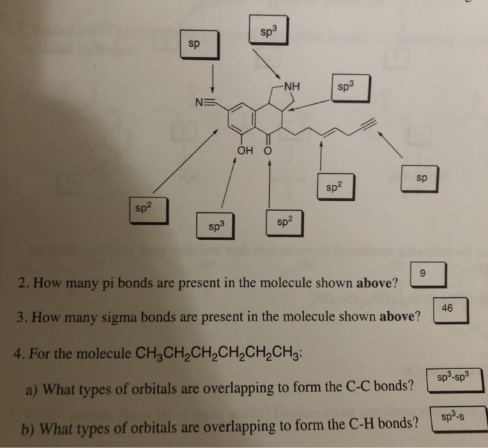 Solved Sp3 NH Sp3 OH sp Sp2 2. How many pi bonds are present | Chegg.com
