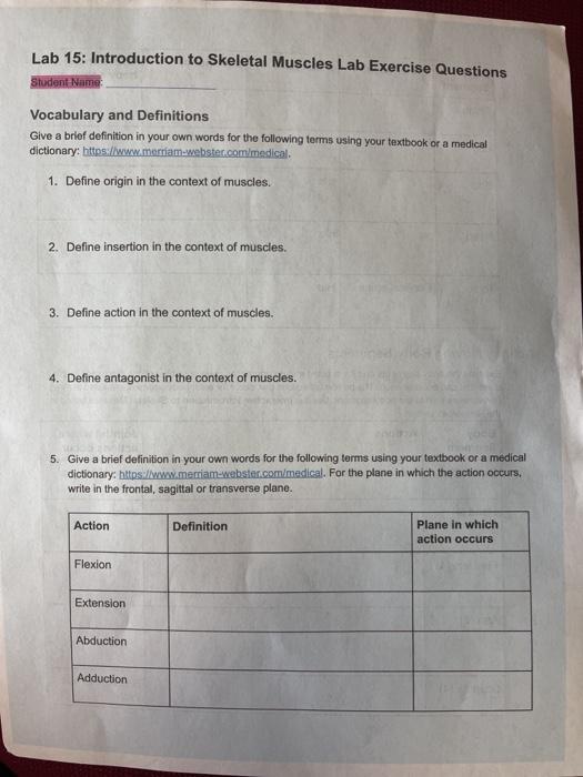 Solved Lab 15: Introduction to Skeletal Muscles Lab Exercise | Chegg.com