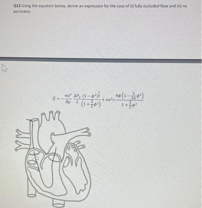 Solved Q12 Using the equation below, derive an expression | Chegg.com