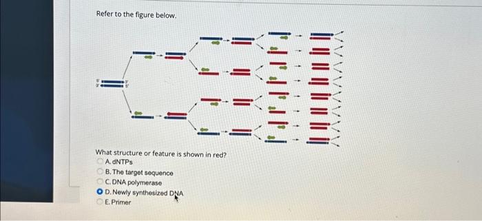 Solved Refer to the figure below. 525 What structure or | Chegg.com