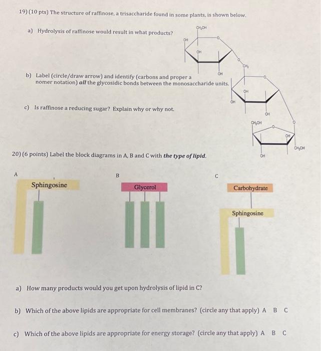 Solved 19) (10 pts) The structure of raffinose, a | Chegg.com