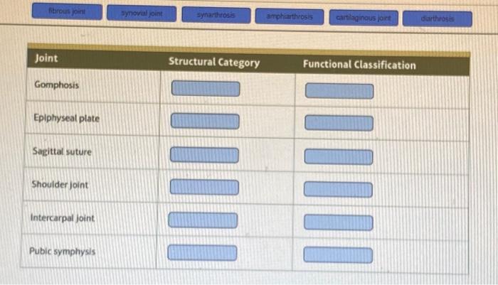 Solved Joint: Gomphosis Epiphyseal plate Sagital suture | Chegg.com