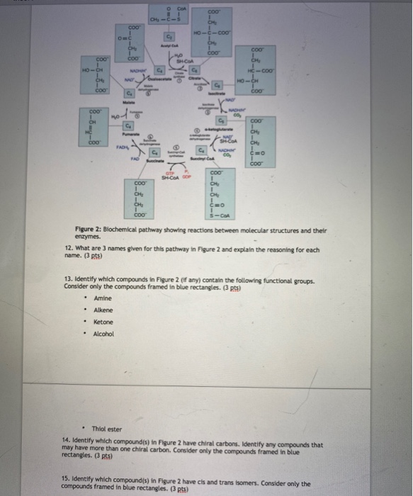 Solved coor CH, -c-s COO HO-C-COO DEC 1 COO COO 1 COO COO HO | Chegg.com