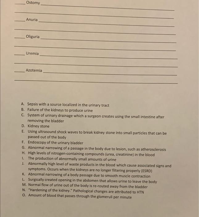 Solved Nephro- Cysto- Pyelo- Hydro- Glomerulo- -lithiasis | Chegg.com