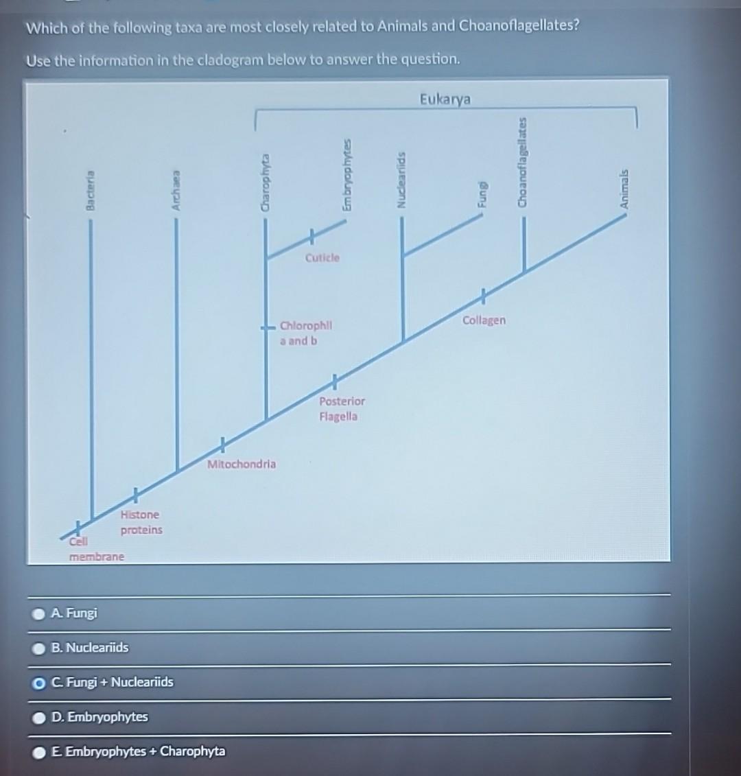 Solved Which of the cladograms, showing evolutionary | Chegg.com Solved Which of the cladograms, showing evolutionary | Chegg.com