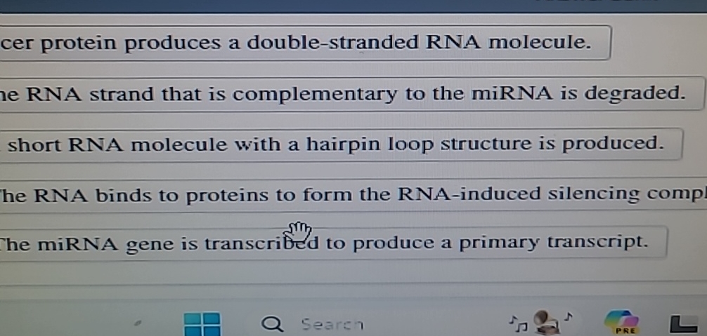 Solved cer protein produces a double-stranded RNA | Chegg.com