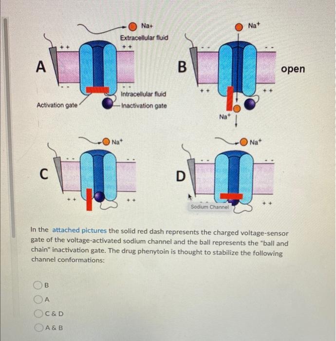 Solved In the attached pictures the solid red dash | Chegg.com
