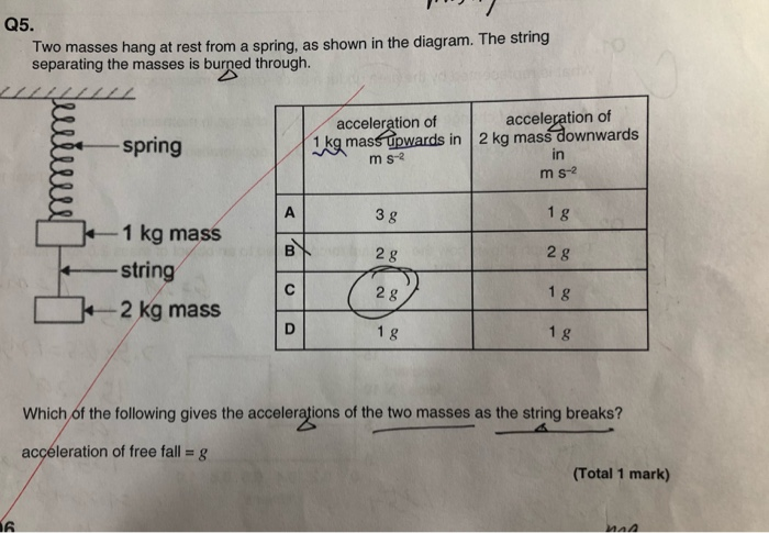 Solved Q5. Two masses hang at rest from a spring, as shown | Chegg.com