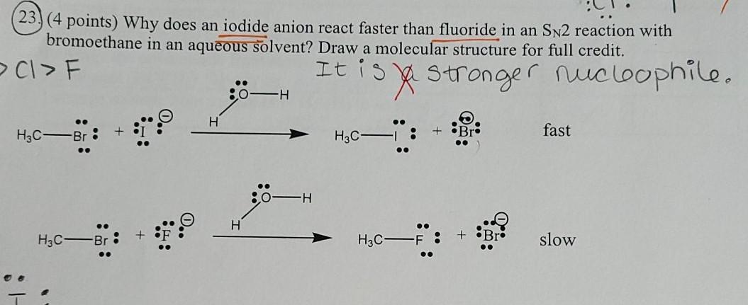 Solved (23) (4 points) Why does an iodide anion react faster | Chegg.com