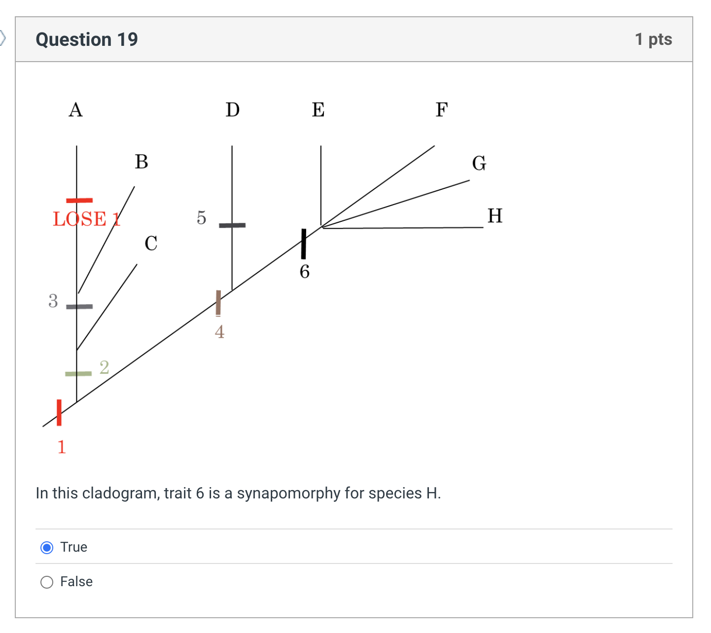 Solved ADEFIn this cladogram, trait 6 ﻿is a synapomorphy for | Chegg.com