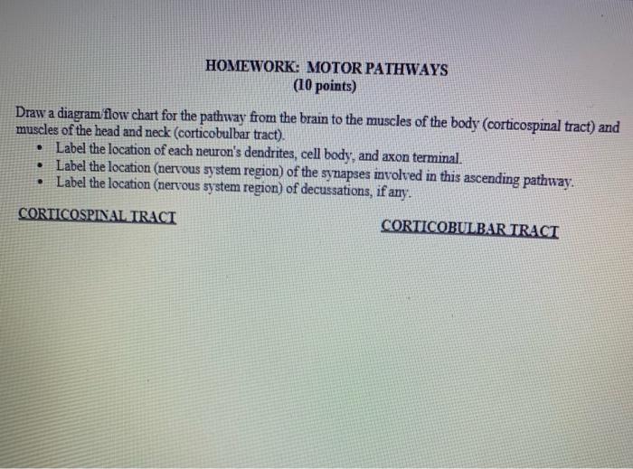 Draw a diagram flow chart for the pathway from the | Chegg.com