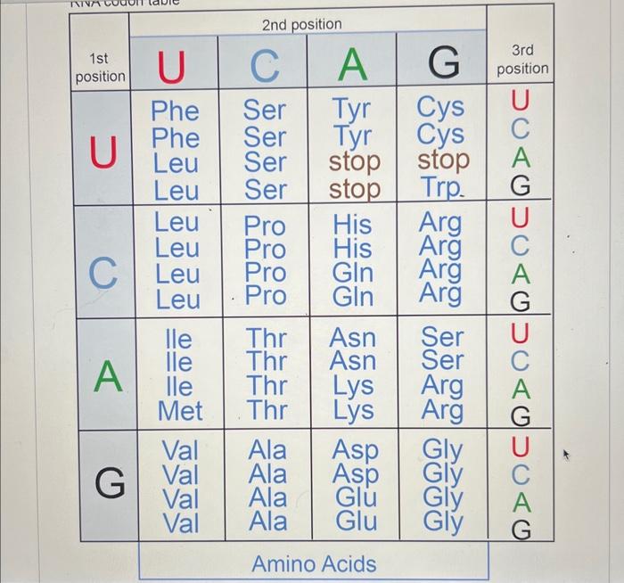 Solved LO34 Translate a sequence of amino acids starting | Chegg.com