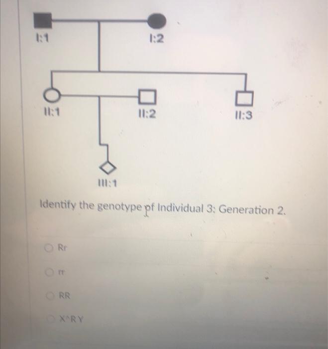 Solved Identify the genotype of Individual 3: Generation 2. | Chegg.com