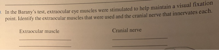 Solved 5. In the Barany's test, extraocular eye muscles were | Chegg.com