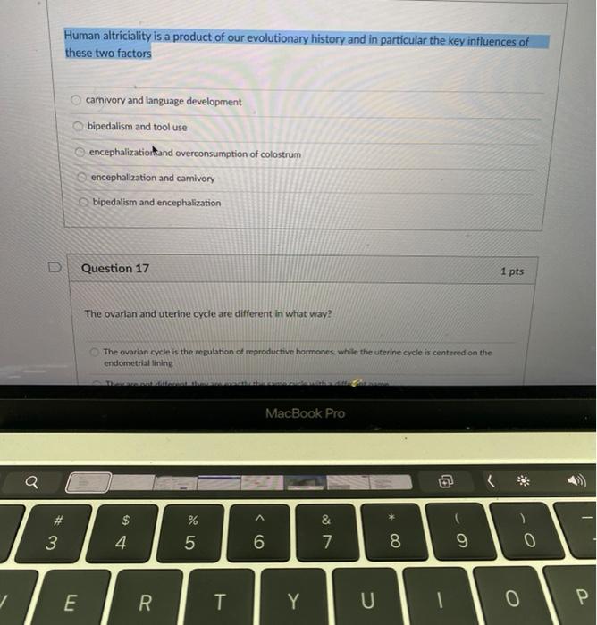 Solved Human altriciality is a product of our evolutionary | Chegg.com