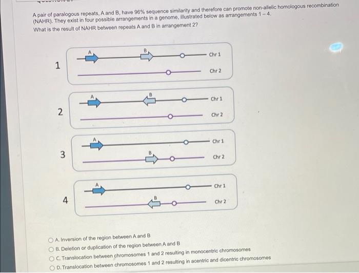 Solved A pair of paralogous repeats, A and B, have 96% | Chegg.com