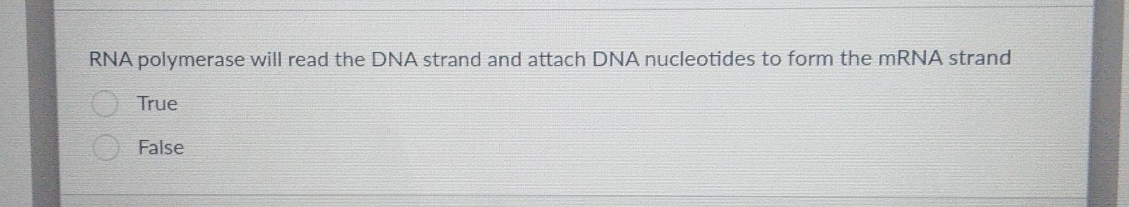 Solved RNA polymerase will read the DNA strand and attach | Chegg.com