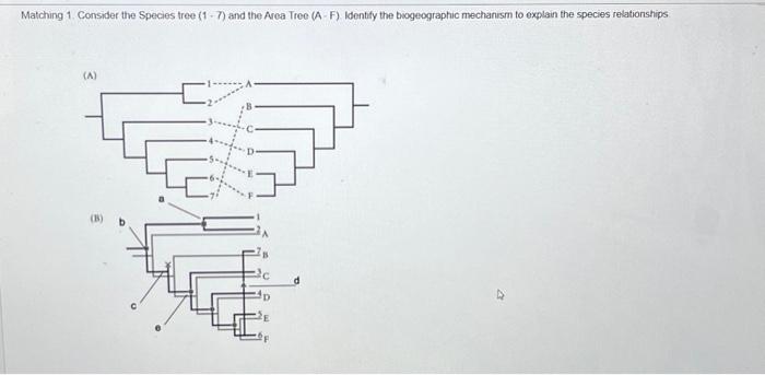 Solved Matching 1. Consider the Species tree (1−7) and the | Chegg.com