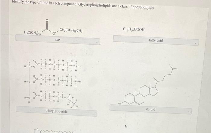 Solved Identify the type of lipid in each compound. | Chegg.com