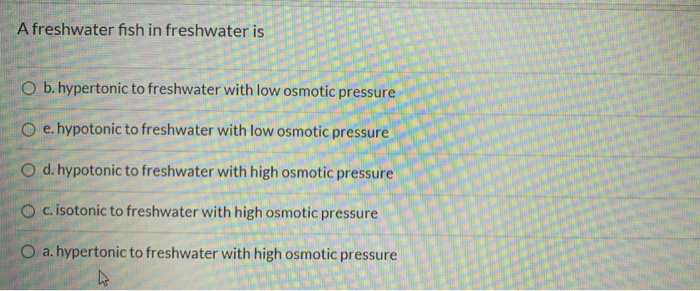 Solved A freshwater fish in freshwater is . O b. hypertonic | Chegg.com