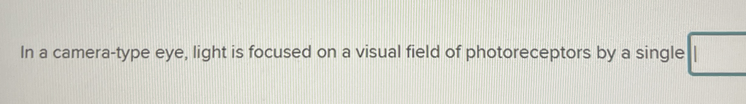 Solved In a camera-type eye, light is focused on a visual | Chegg.com