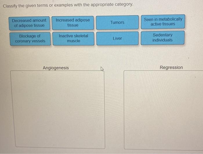 Solved Classify the given terms or examples with the | Chegg.com