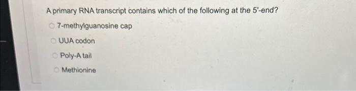 Solved A primary RNA transcript contains which of the | Chegg.com