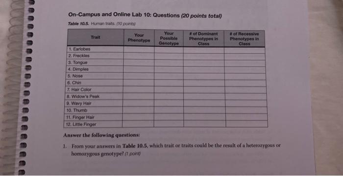 Solved On-Campus and Online Lab 10: Questions (20 points | Chegg.com
