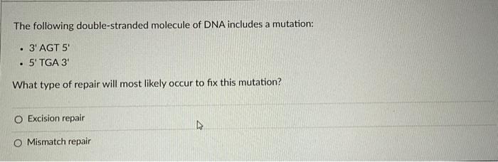 Solved The following double-stranded molecule of DNA | Chegg.com